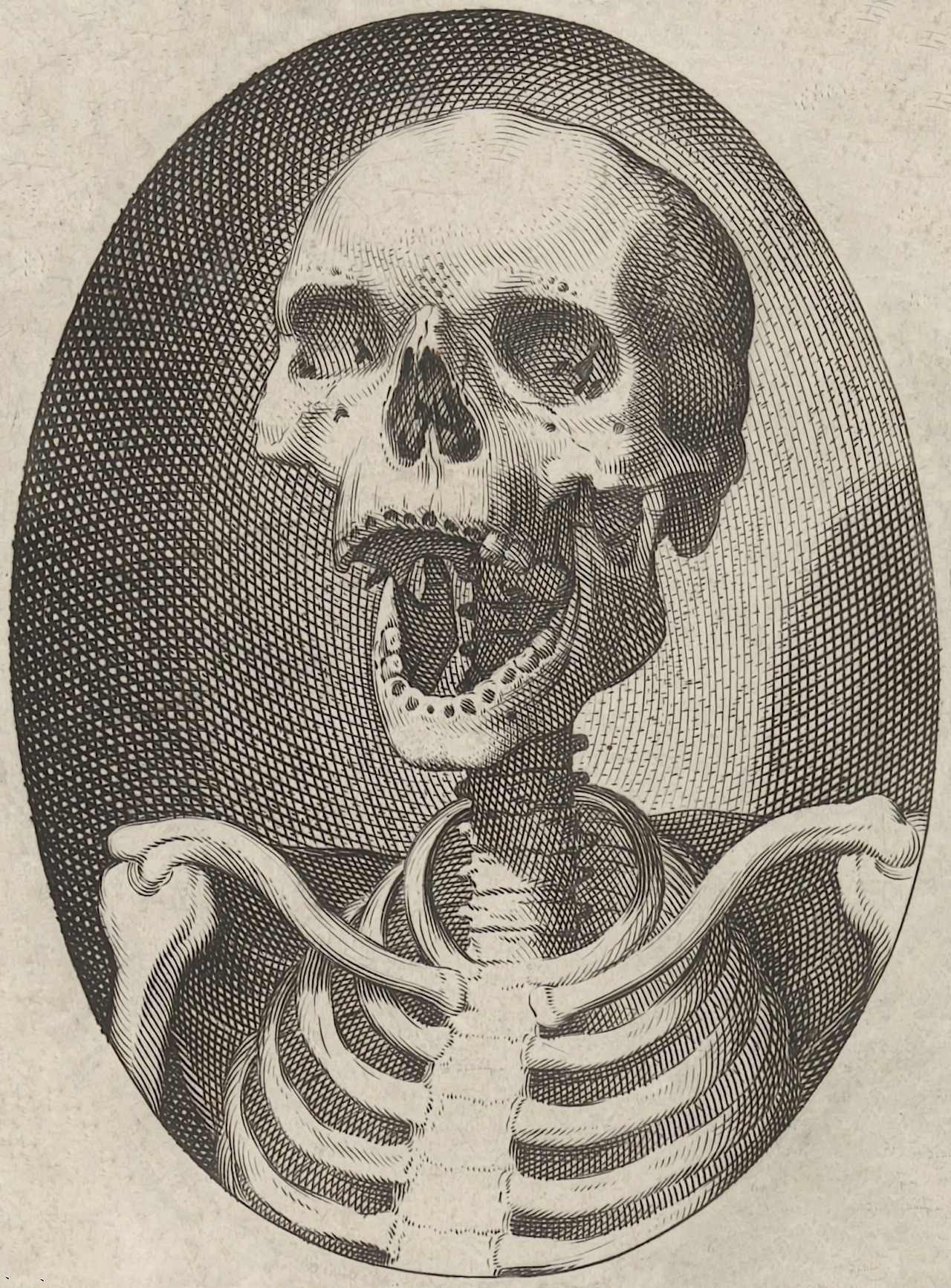 My Great-Great-Great-Great Grandfather – Literary Fictions