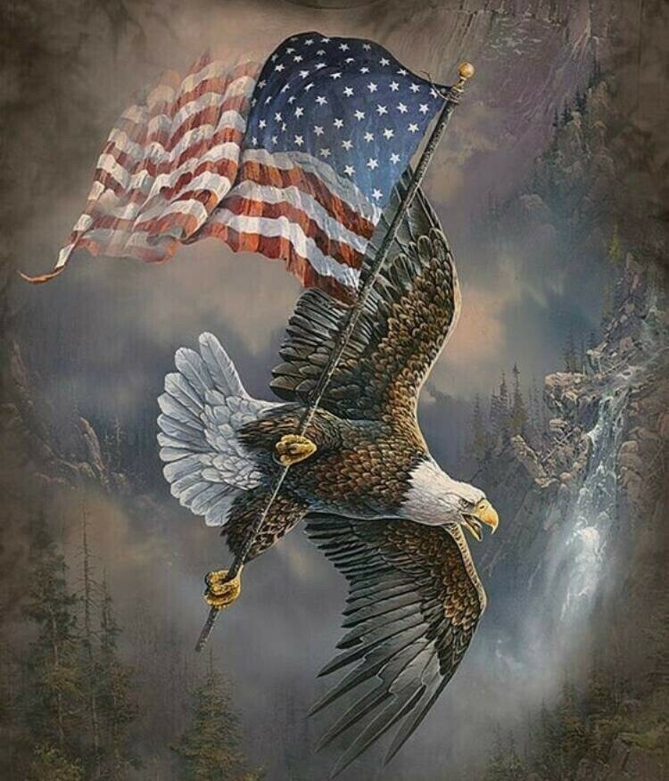 America First – Literary Fictions