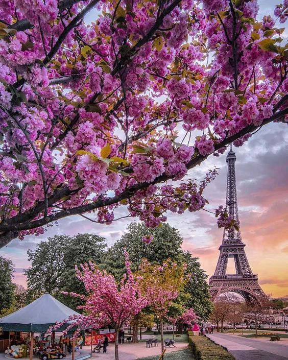 Springtime in Paris – Literary Fictions
