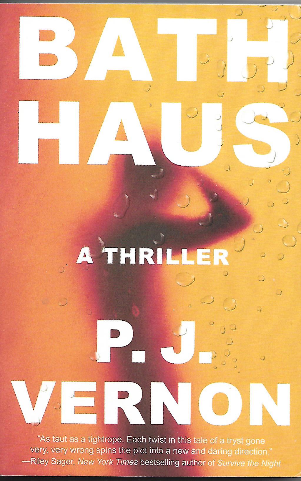 Bath Haus ~ A Capsule Book Review – Literary Fictions